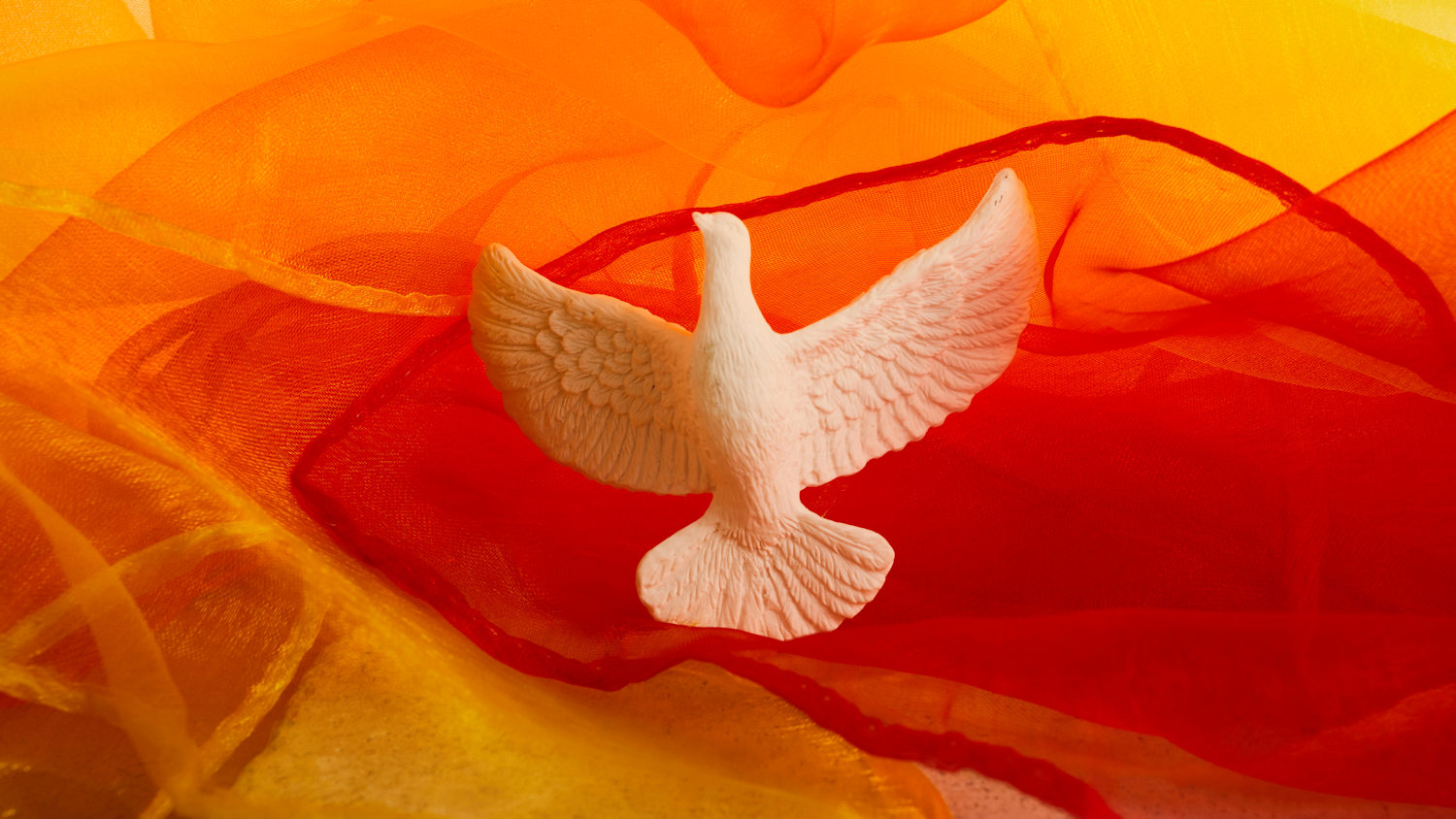 Confirmation Dates 2026 - Diocese of Cork + Ross